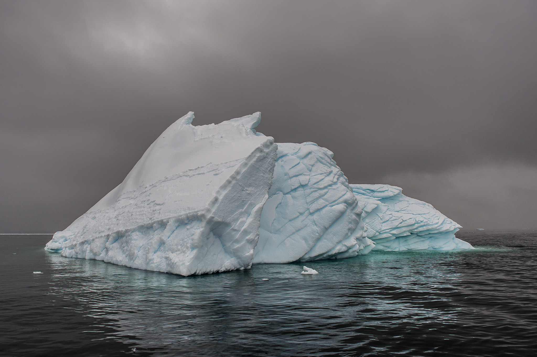 Leo Que Uno De Los Más Grandes Icebergs De La Historia Diario De