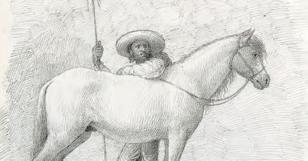 Palmarote en Apure – Prodavinci